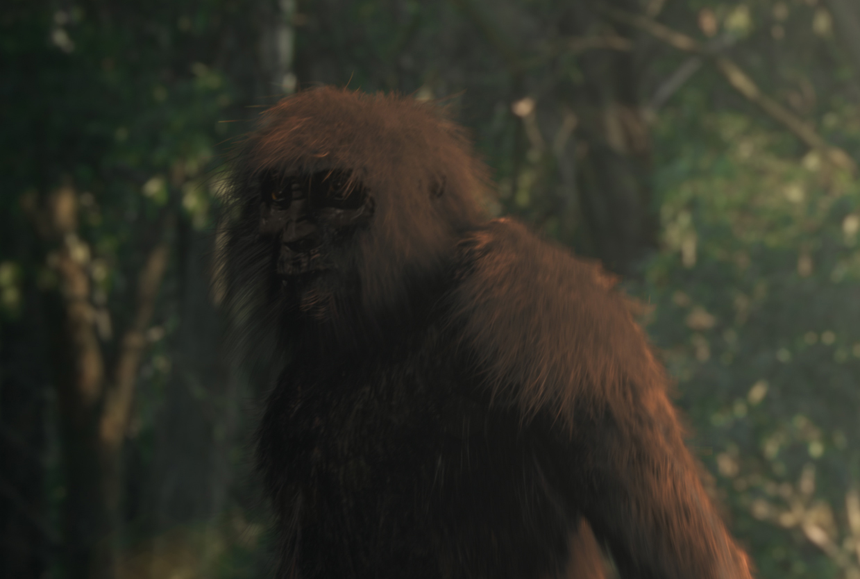 Revealing The Yowie | Taylor Film